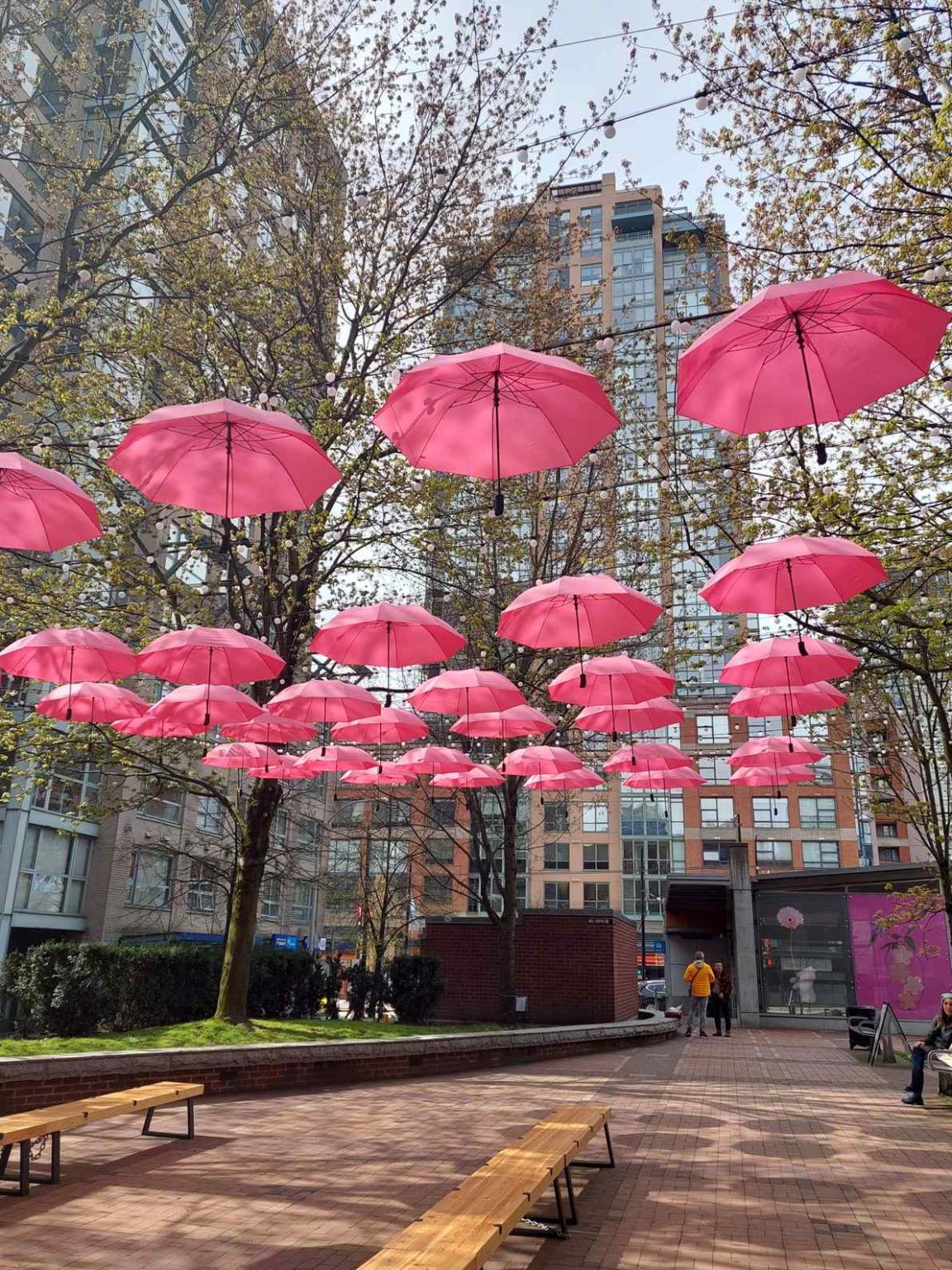 What To Do in Vancouver? Here Are Our Top Tips! (2025)