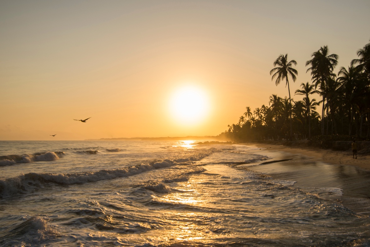 What To Do in Palomino? The 7 Best Tips! (2025) - ATTW